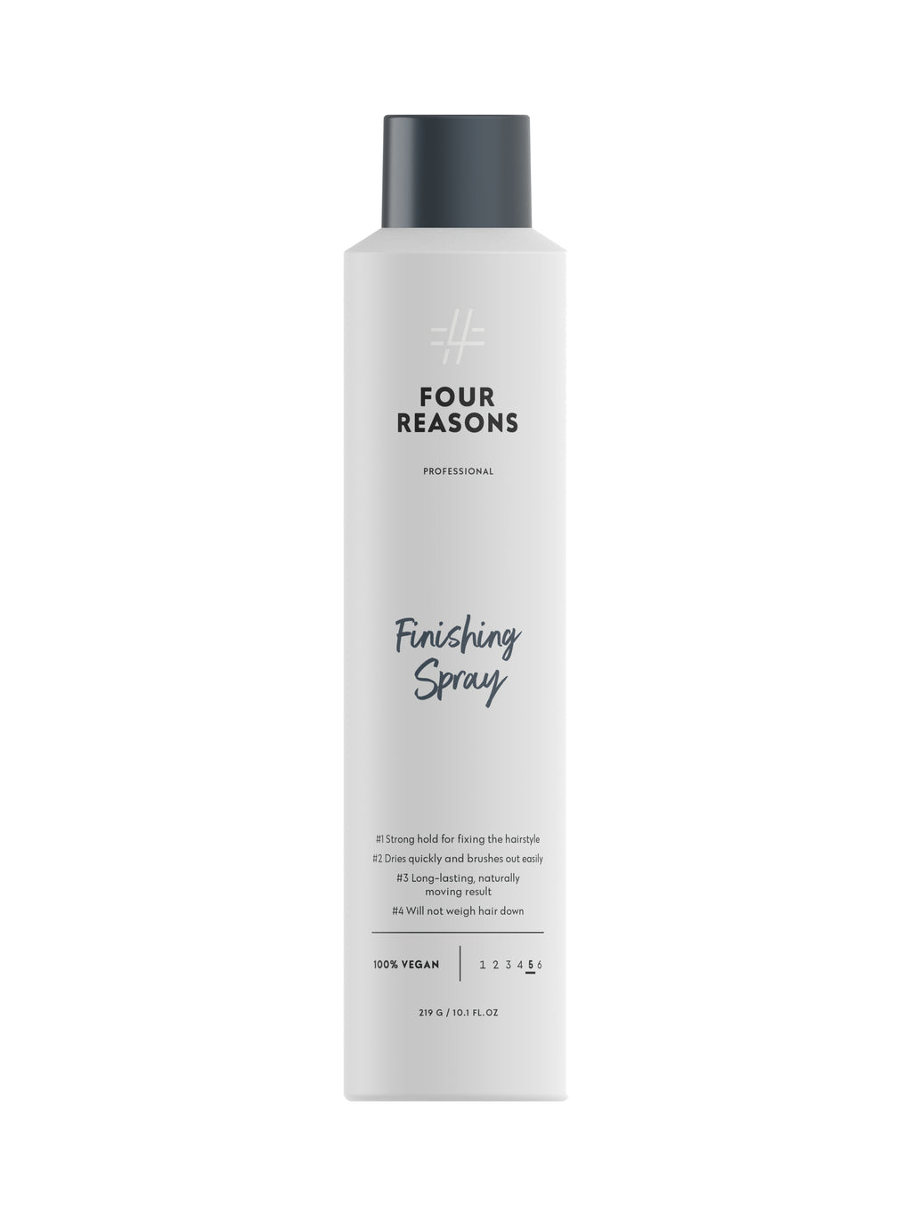 Professional | Finishing Spray